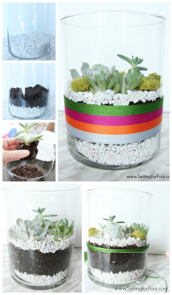 DIY Succulent Terrarium - Setting For Four Interiors