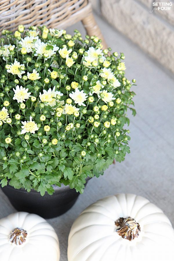 Fall Front Porch Ideas - Setting For Four Interiors