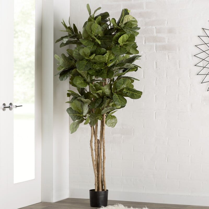 5 Ways to Decorate With Fiddle Leaf Fig Trees & Best Faux Options ...