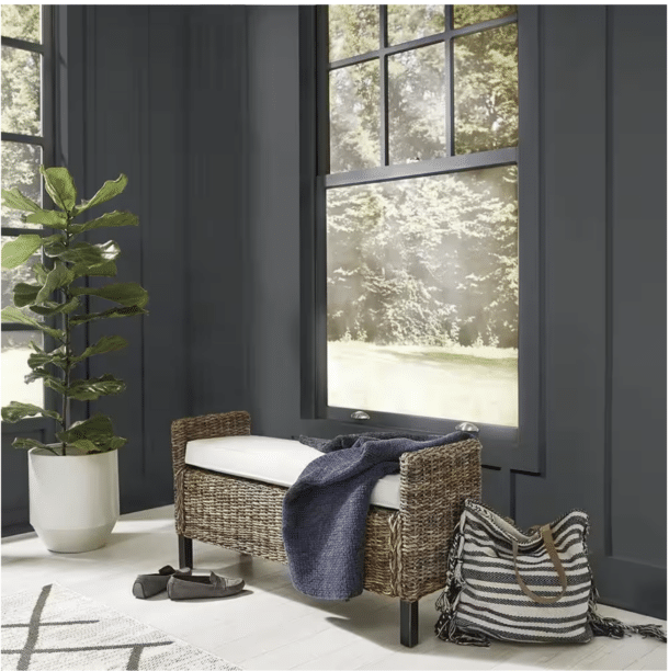 Behr Cracked Pepper Undertones & Coordinating Colors