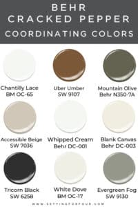 Behr Cracked Pepper Undertones & Coordinating Colors