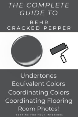 Behr Cracked Pepper Undertones & Coordinating Colors