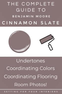 Benjamin Moore Cinnamon Slate - Color Review & Color Of The Year 2025 ...